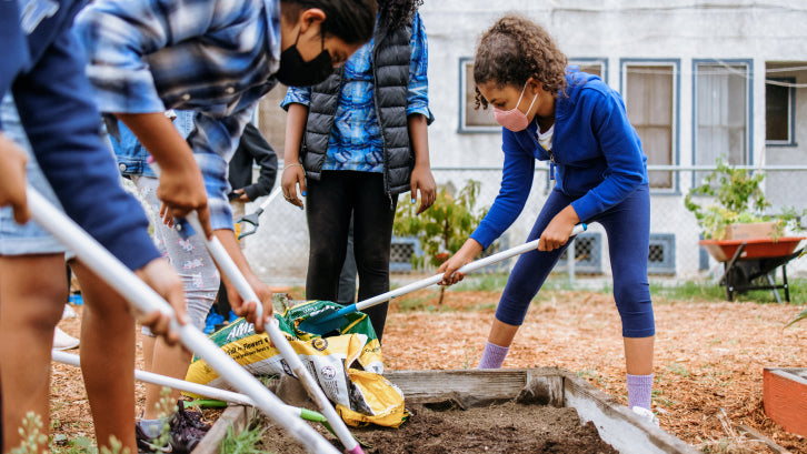 How We Make an Impact at Wild Elements | Explainer – Wild Elements.com